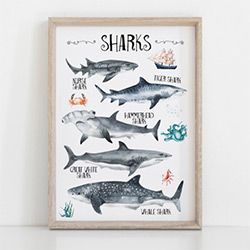 29 Awesome Gifts For Shark Lovers 🦈 - 2021 Wini Gifts